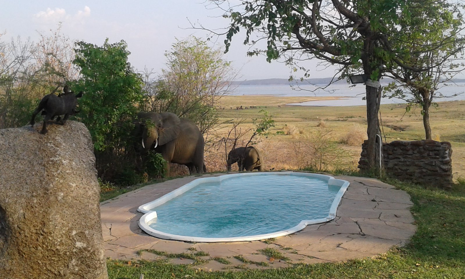 Warthogs Bush Camp | Accommodation in Kariba | Byolife.co.zw