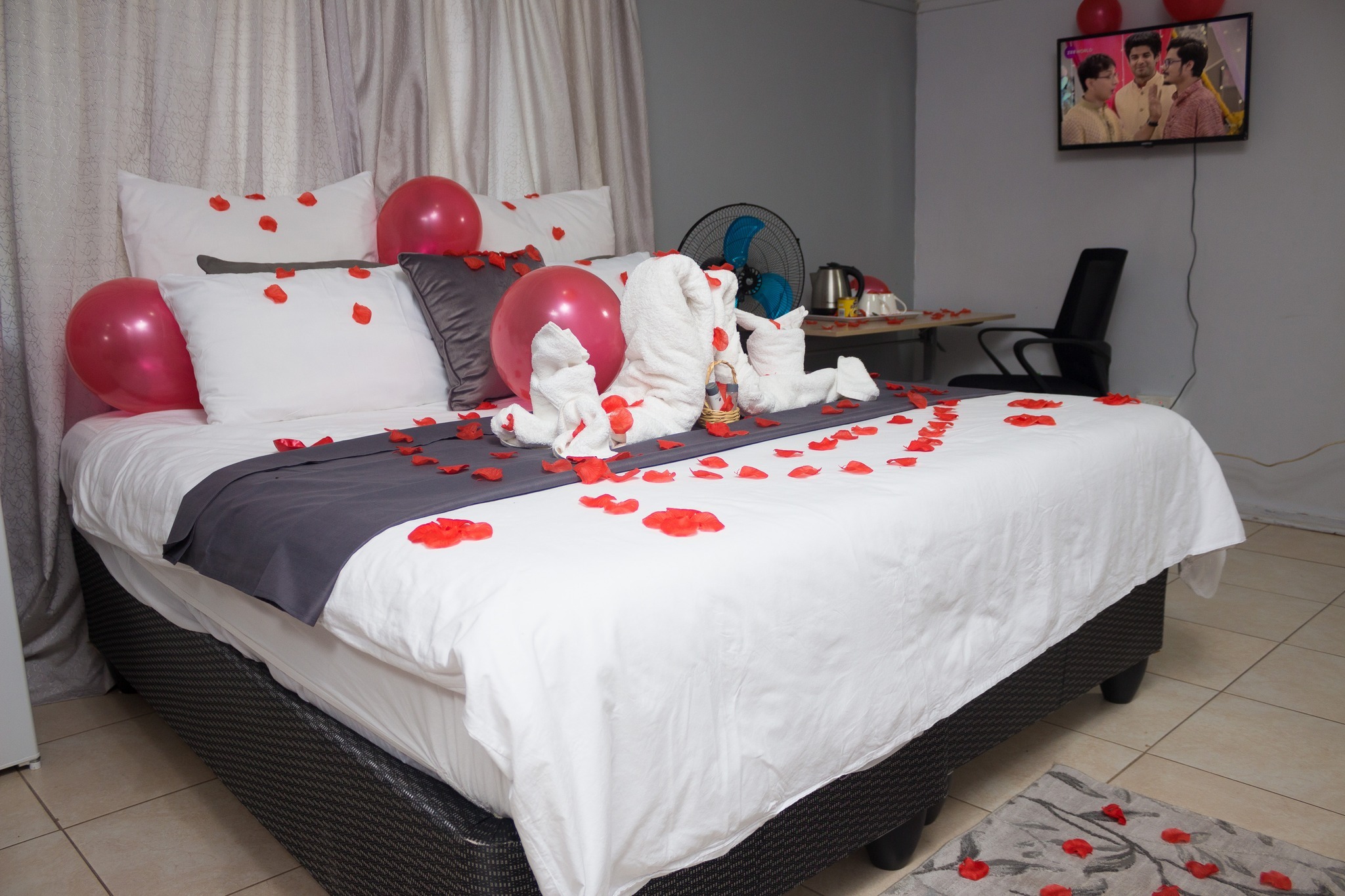Tree-Shed Guest Lodge | Accommodation in Bulawayo | Byolife