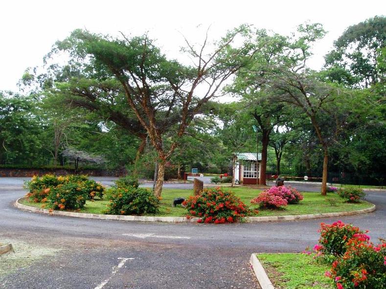 Botanic Gardens Of Zimbabwe Botanical Africa Zimbabwe Hi Res Stock