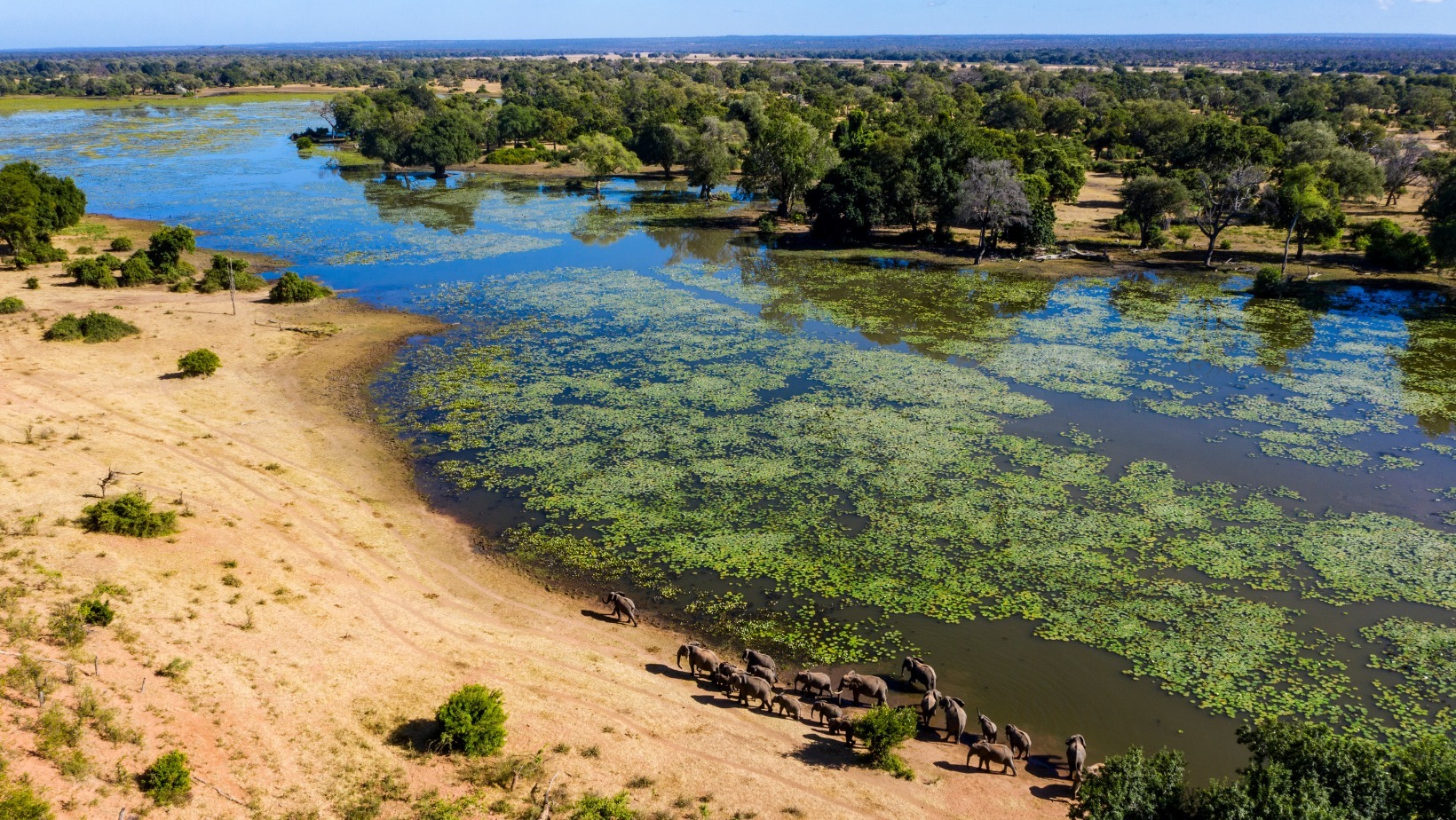 Gonarezhou National Park Guide: Everything You Need to Know | Byolife
