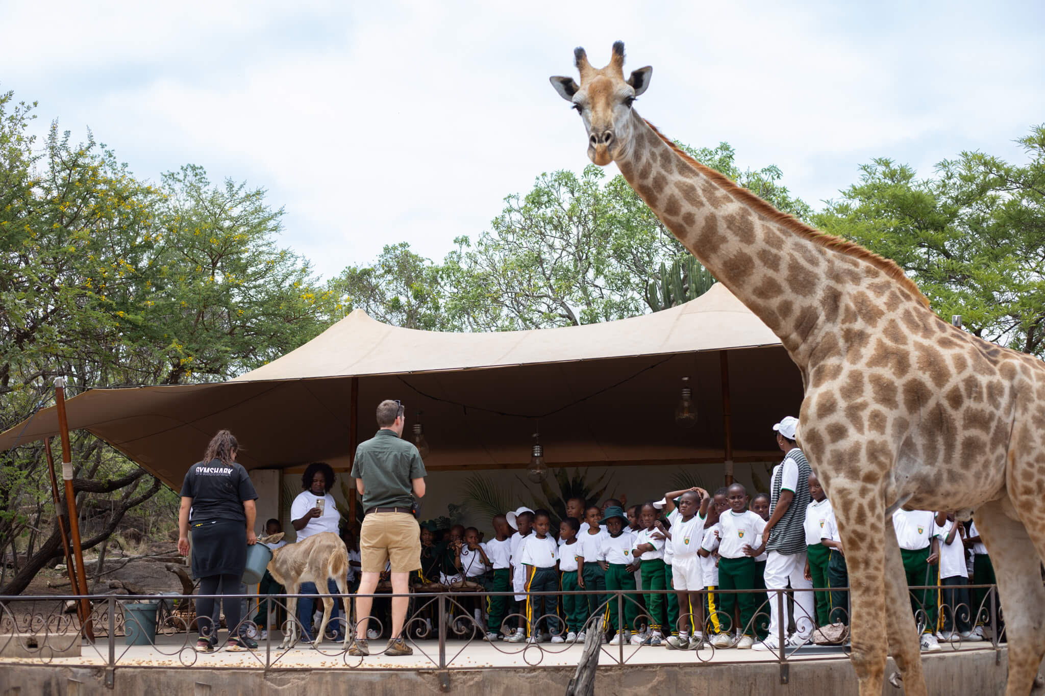 10 Top sights in Bulawayo that you'll Love | Must See Places | Travel Guide